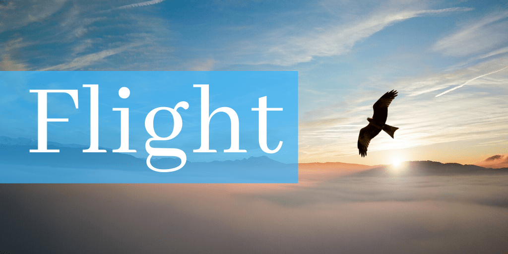 Flight – a short story for English reading comprehension - Man Writes