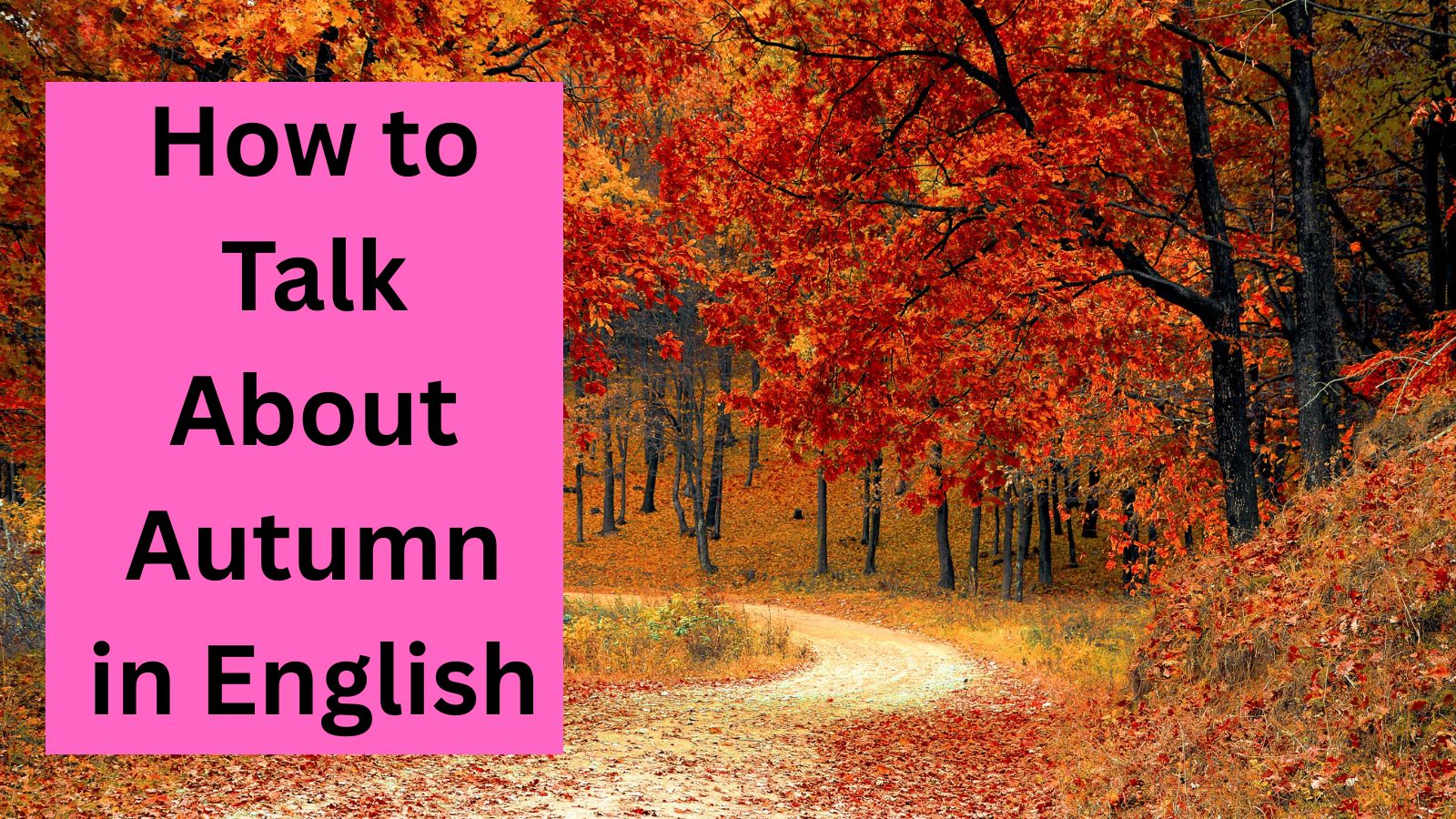 How to Talk About Autumn in English - Man Writes